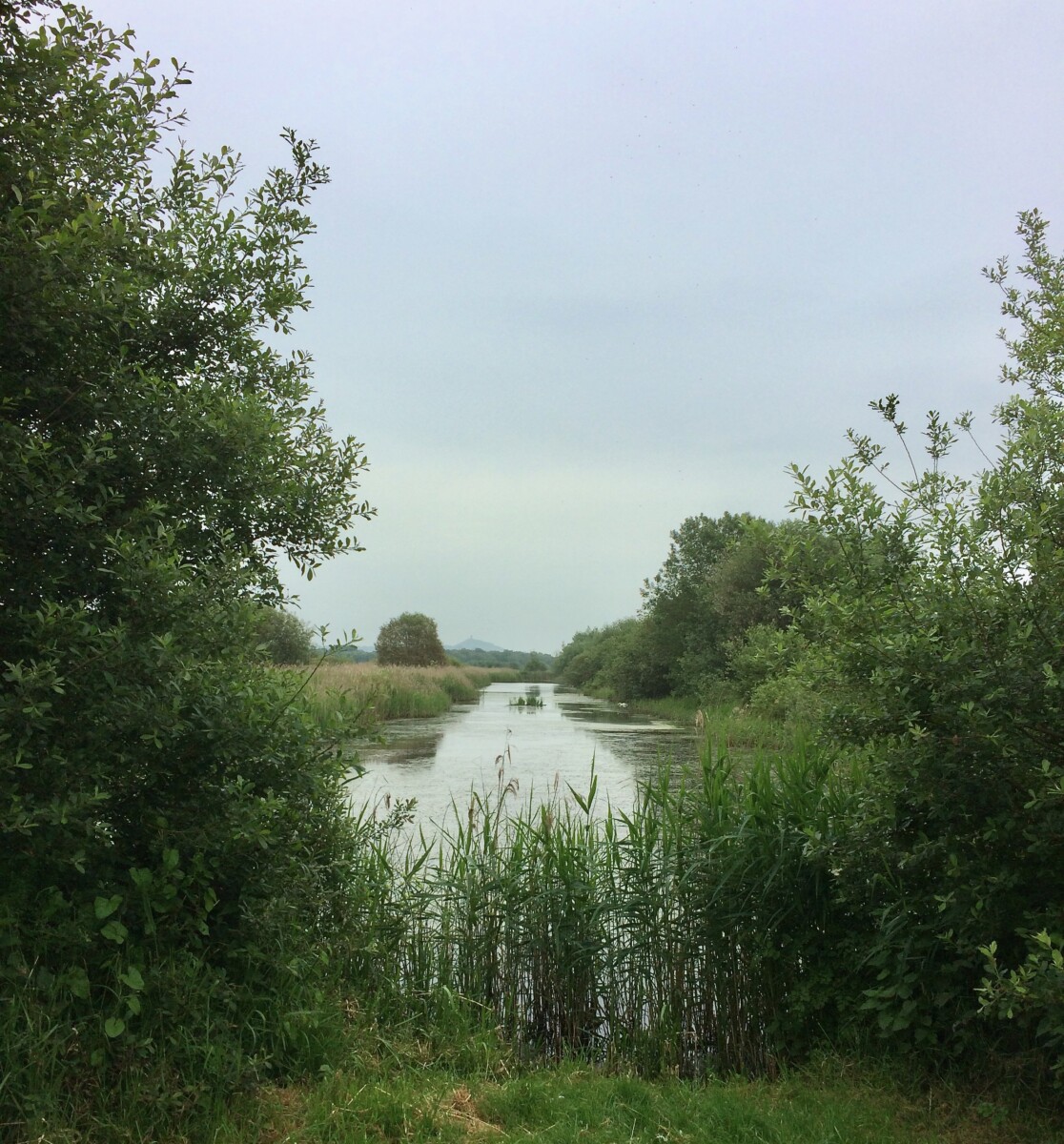 BDS bids farewell to Chris Iles and welcomes new CDRs - British ...