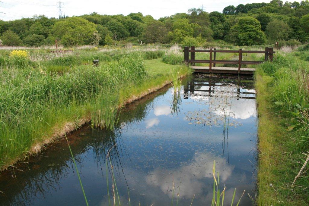 Rodley Nature Reserve Dragonfly Conservation Area - British Dragonfly ...