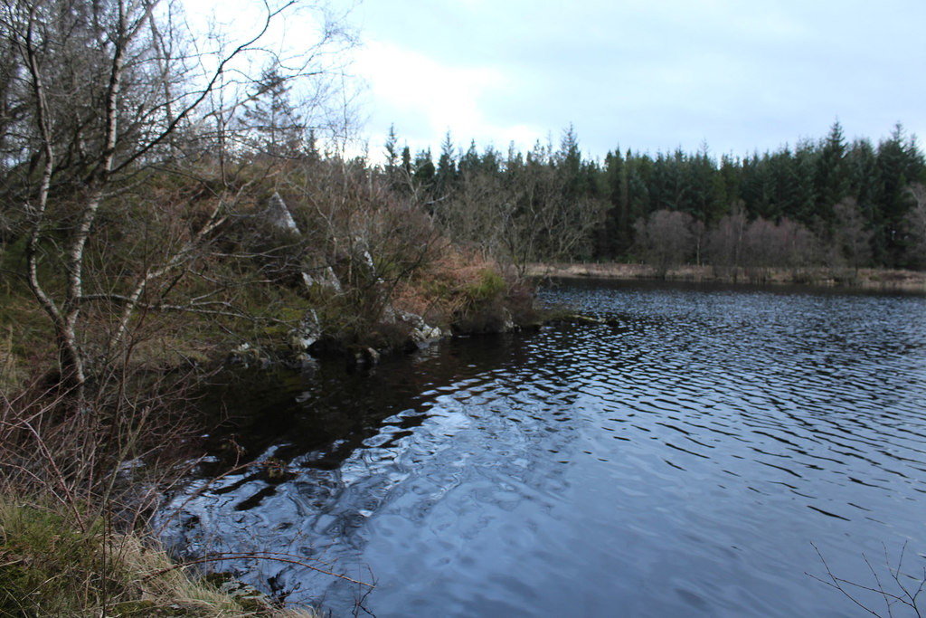 Knowetop Lochs - British Dragonfly Society