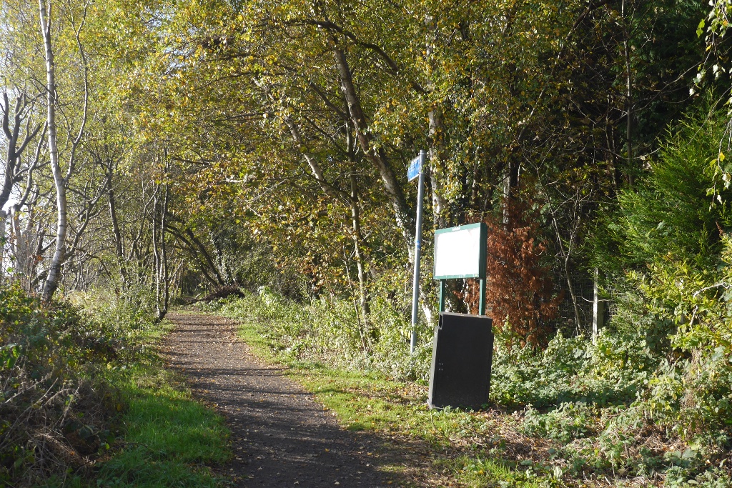 Lenzie Moss - British Dragonfly Society