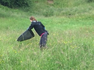 Best practice for collecting dragonflies 2021-2026 - British Dragonfly ...