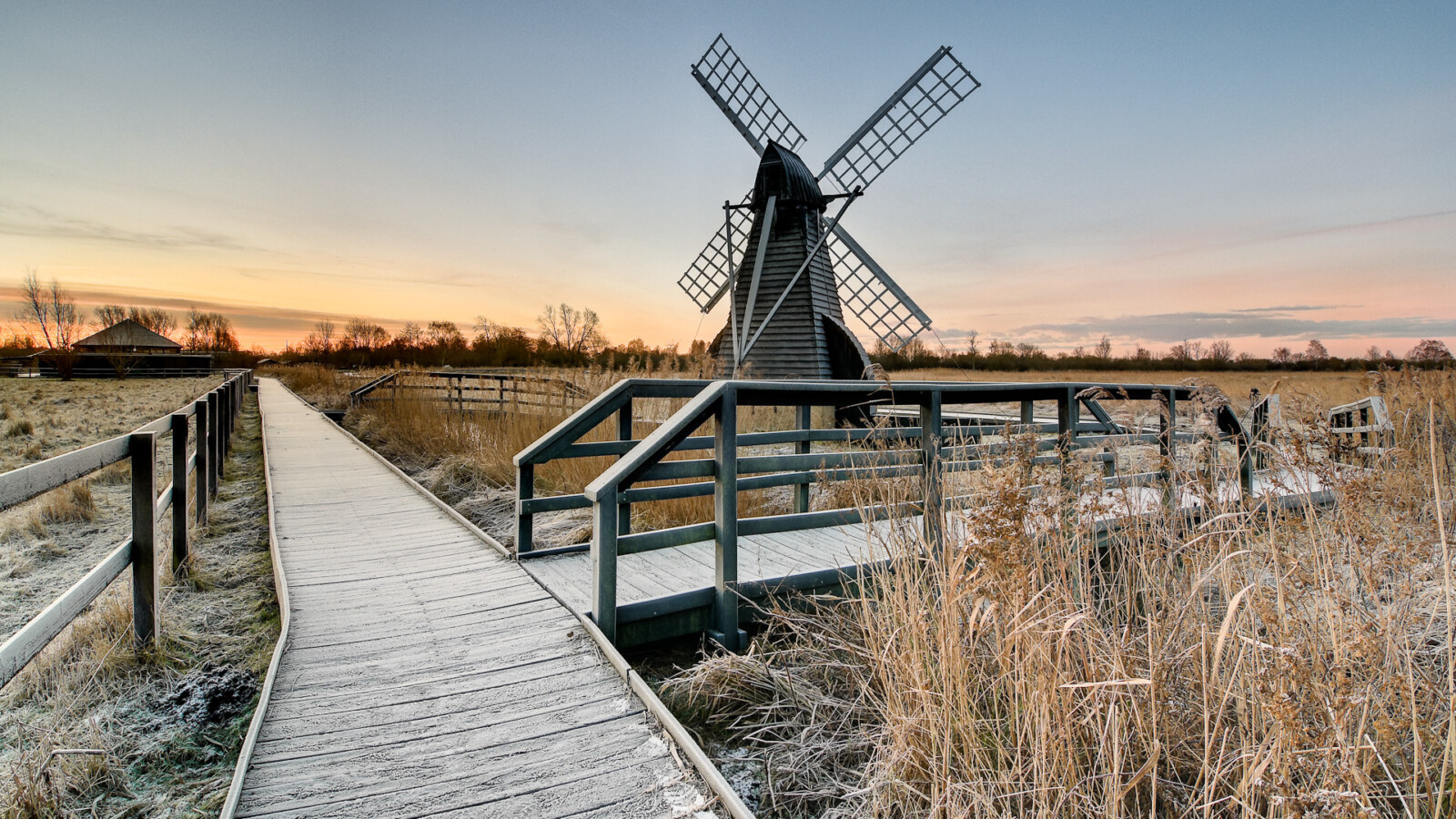 NT Wicken Fen Nature Reserve - British Dragonfly Society