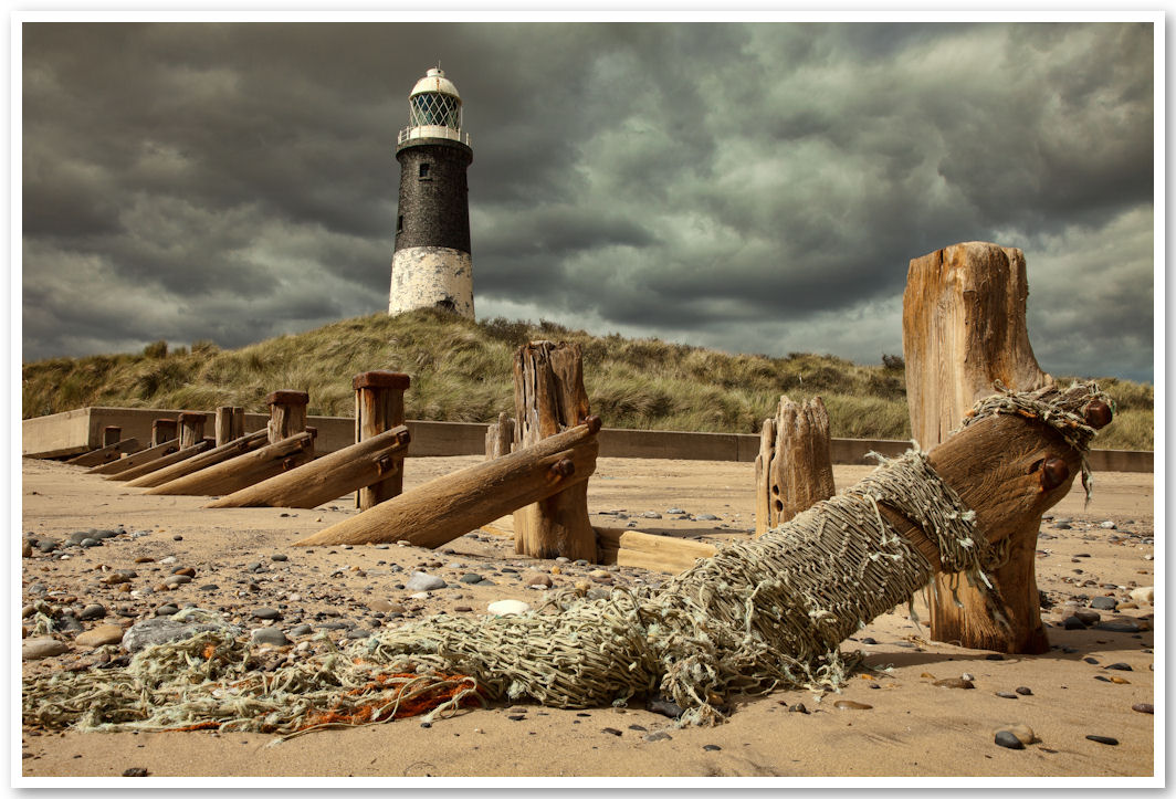 YWT Spurn National Nature Reserve - British Dragonfly Society