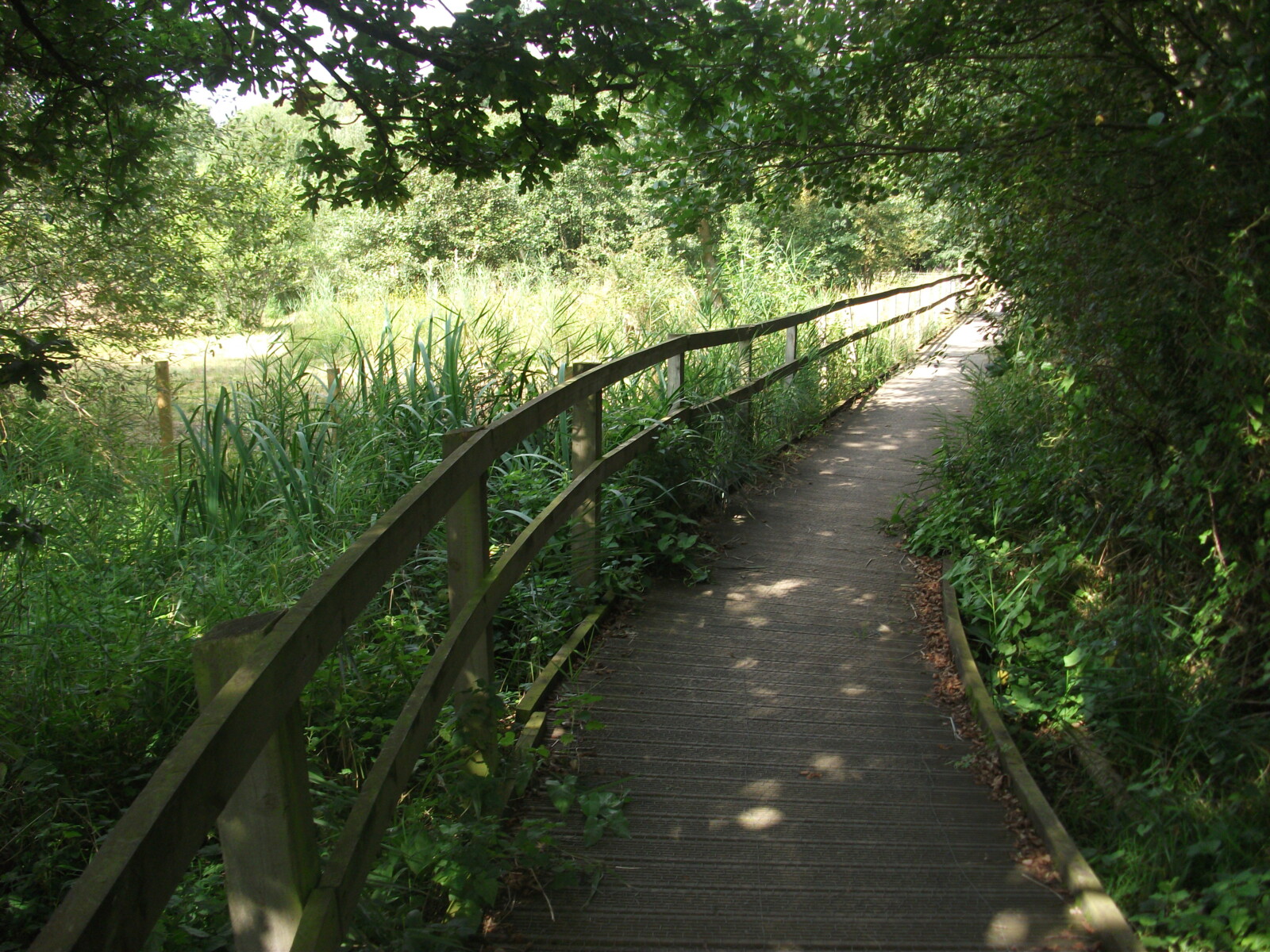Askham Bog Nature Reserve - British Dragonfly Society