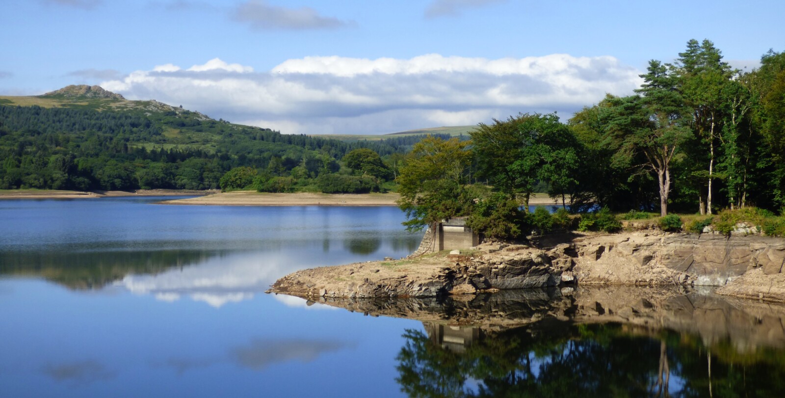 Burrator Arboretum and Nature Reserve - British Dragonfly Society
