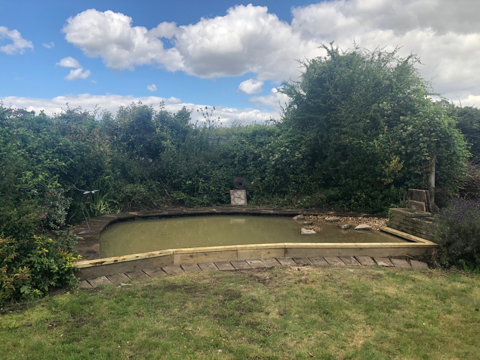 Pond Ponderings: Chapter One of My Pond Story by Carolyn Cooksey ...