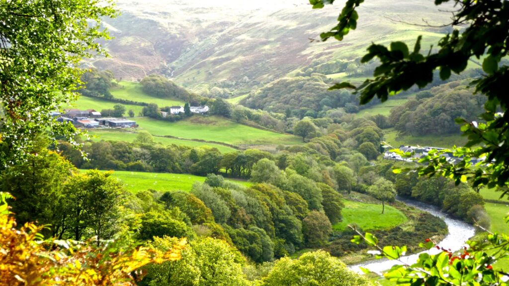 Wales Nature Week - British Dragonfly Society