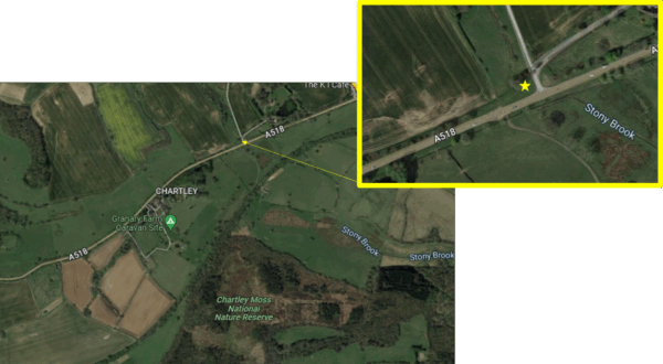 White-faced Darters at Chartley Moss - Morning and Afternoon Walks ...