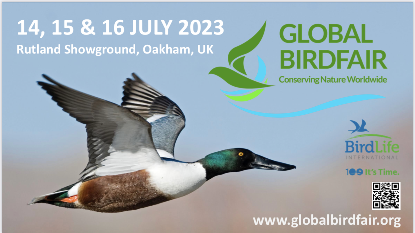 Global Birdfair - British Dragonfly Society Global Birdfair - British Dragonfly Society