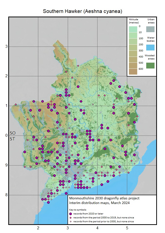 Southern Hawker in Monmouthshire - British Dragonfly Society