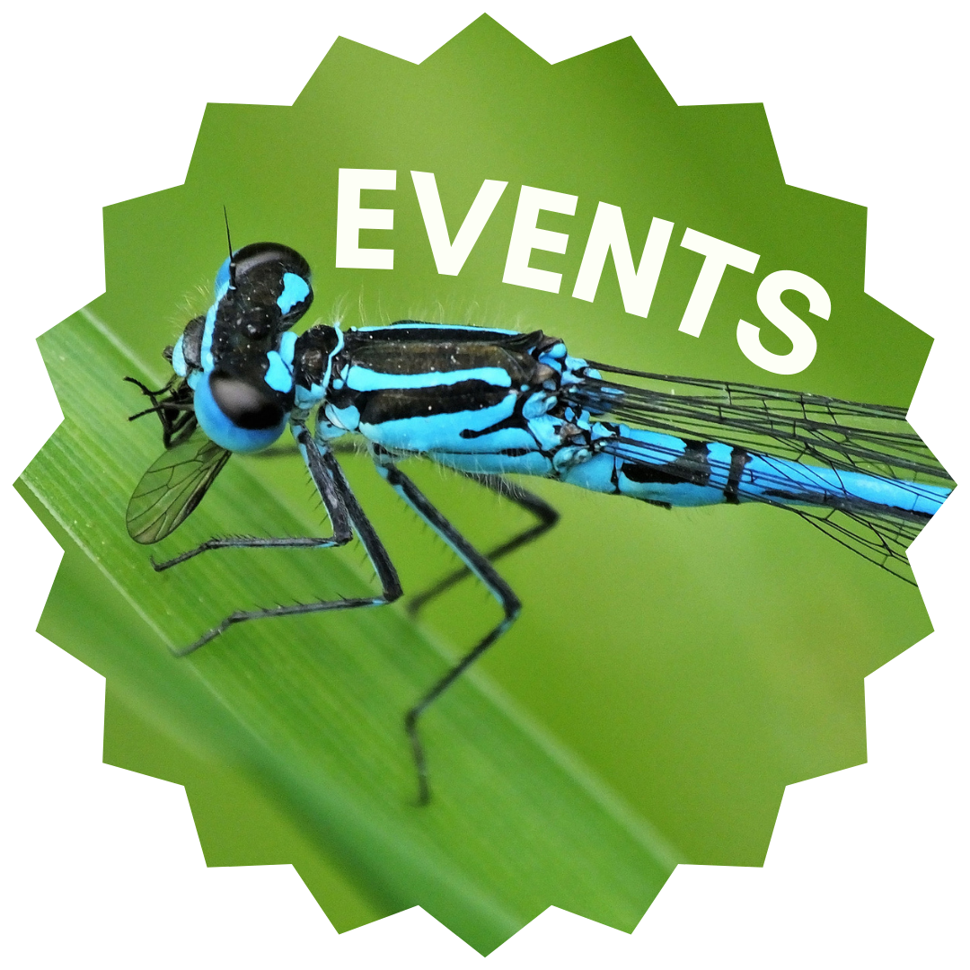 Take Action - British Dragonfly Society