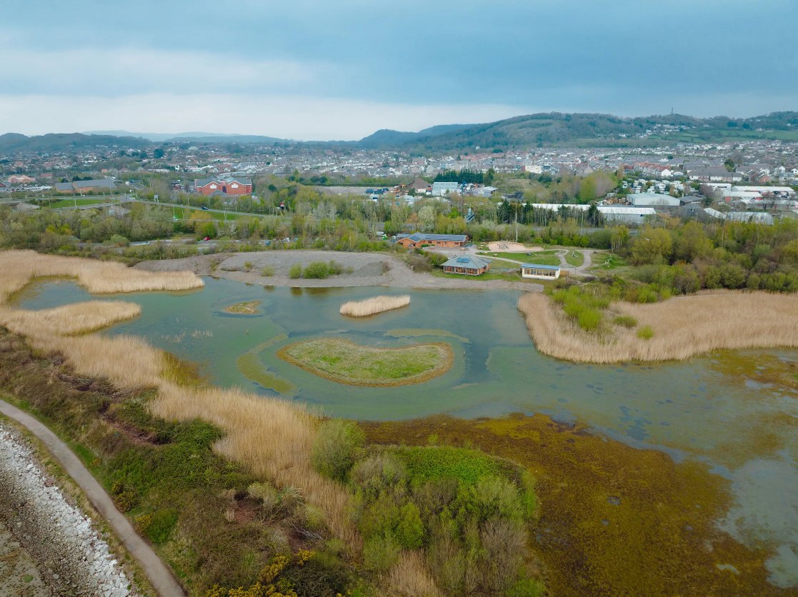 RSPB Conwy Nature Reserve - British Dragonfly Society