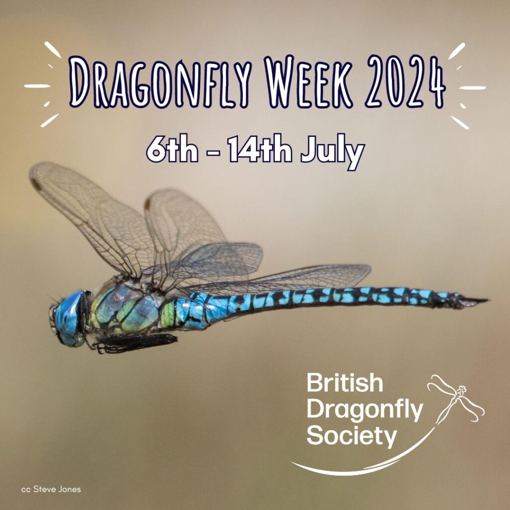 Dragonfly Week - British Dragonfly Society