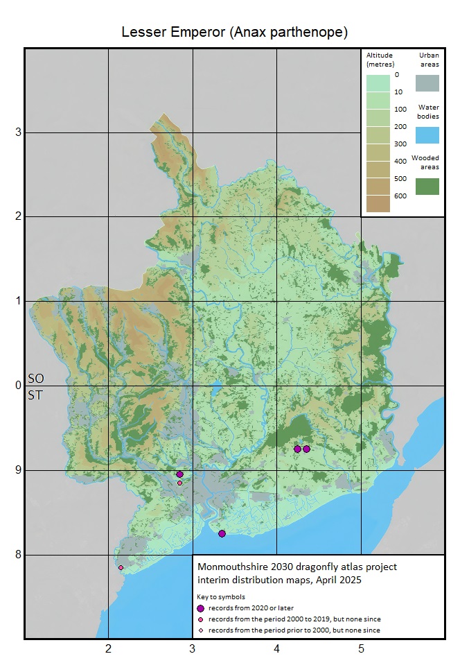 Lesser Emperor in Monmouthshire - British Dragonfly Society